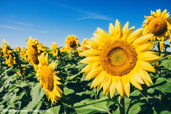 Mobility Class - Janesville Area Convention & Visitors Bureau