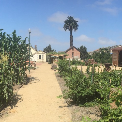 Visit Oxnard, CA - Hotels, Things to Do, Places to Eat, and Events